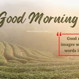 50+ BEST World Environment Day Quotes And Slogans 5 June