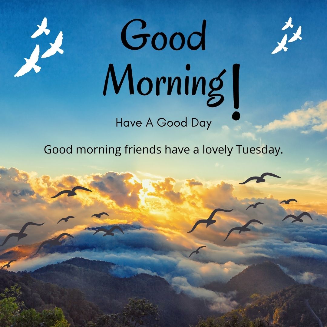 125 BEST Good Morning Tuesday Quotes And Images