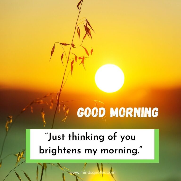 57+ BEST Good Morning Status With Images For WhatsApp