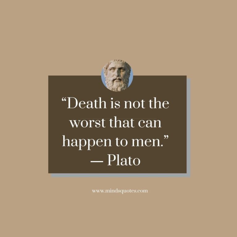 135 BEST Plato Quotes About Life, Success, Self, Education