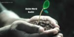 100 Golden Words Quotes: Words Of Wisdom And Inspiration