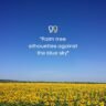 75 Most Beautiful Blue Sky Quotes To Brighten Your Day