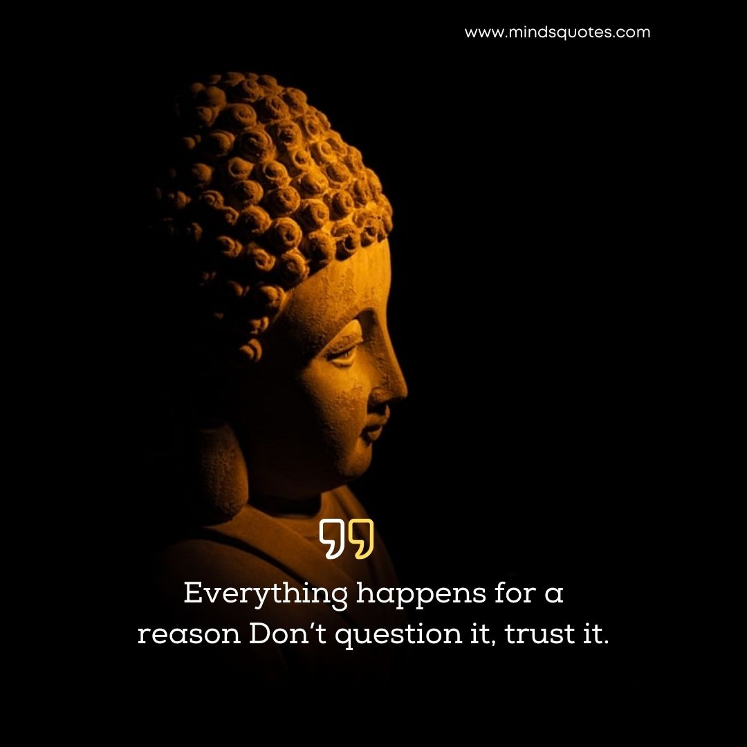 50 Famous Buddha Quotes On Karma Everyone Should Know