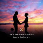 157+ BEST Love Status With Images For WhatsApp & Facebook