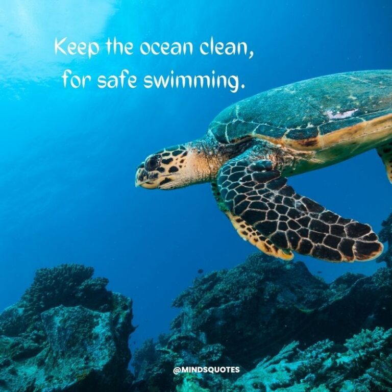 55 Happy World Ocean Day Quotes, Messages & Wishes [Jun 8]
