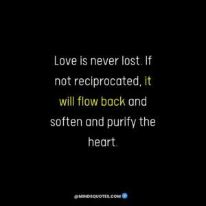 156+ BEST Love Failure Quotes That Will Make You Cry