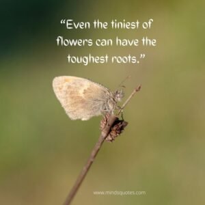 55+ BEST Flower Quotes For Love And Life & Peace