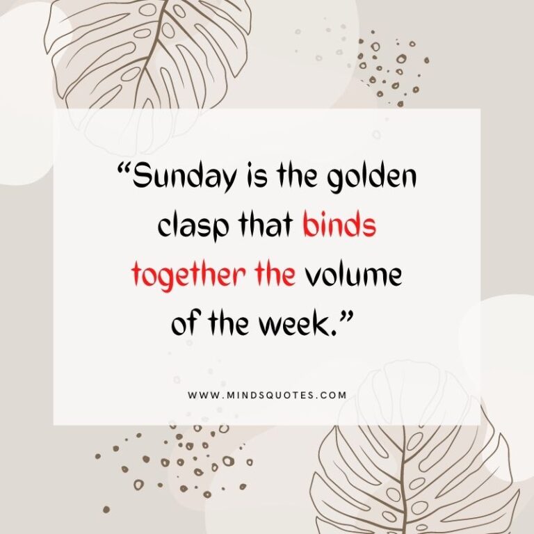 101+ BEST Happy Sunday Quotes For Inspiring Your Day