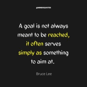 70 Quotes On Aim In Life To Help You Achieve Your Goals