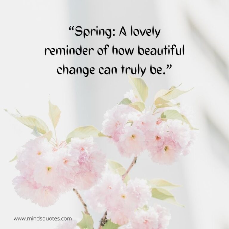 55+ BEST Flower Quotes For Love And Life & Peace