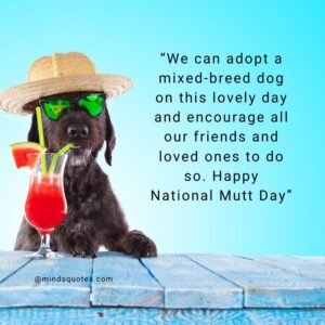 25+ BEST Happy National Mutt Day Quotes, Wishes & Messages