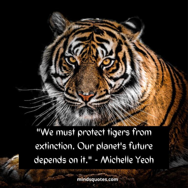 50+ BEST International Tiger Day Quotes, Wishes & Message