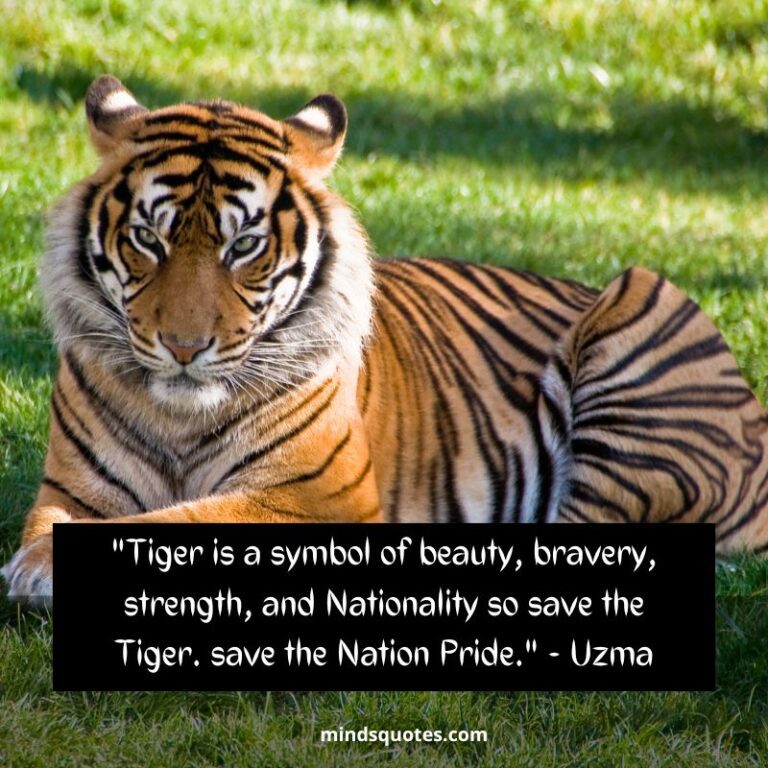 50+ BEST International Tiger Day Quotes, Wishes & Message