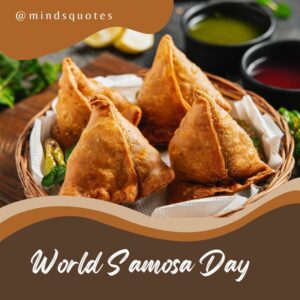 50 Famous World Samosa Day Quotes, Sayings & Captions, Wishes