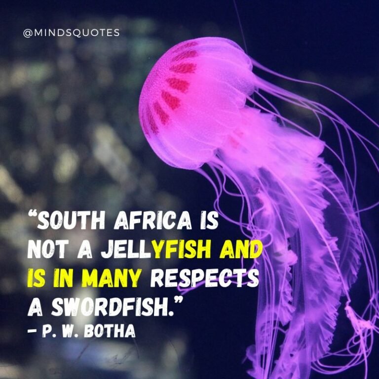 32 BEST World Jellyfish Day Quotes, Messages & Wishes
