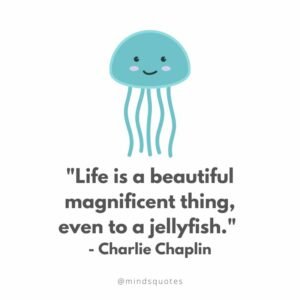 32 BEST World Jellyfish Day Quotes, Messages & Wishes