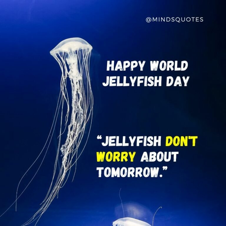 32 BEST World Jellyfish Day Quotes, Messages & Wishes