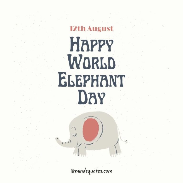 45 + Famous World Elephant Day Quotes, Wishes & Messages