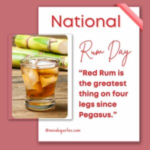 38+ Famous National Rum Day Quotes, Wishes & Messages