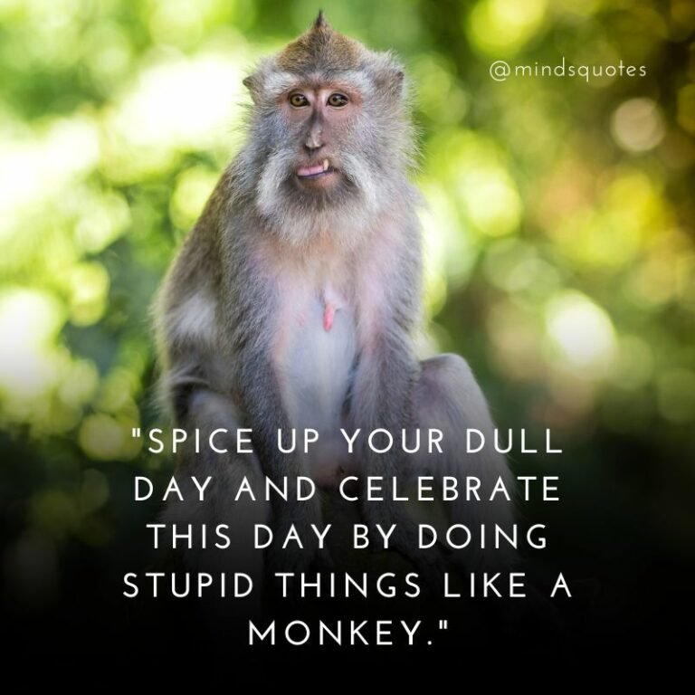38 Famous Monkey Day Quotes, Messages & Greetings