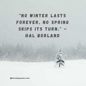 70 World Snow Day Quotes, Wishes & Messages, Captions