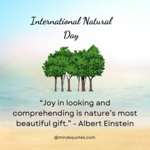 50 International Natural Day Quotes, Wishes & Messages