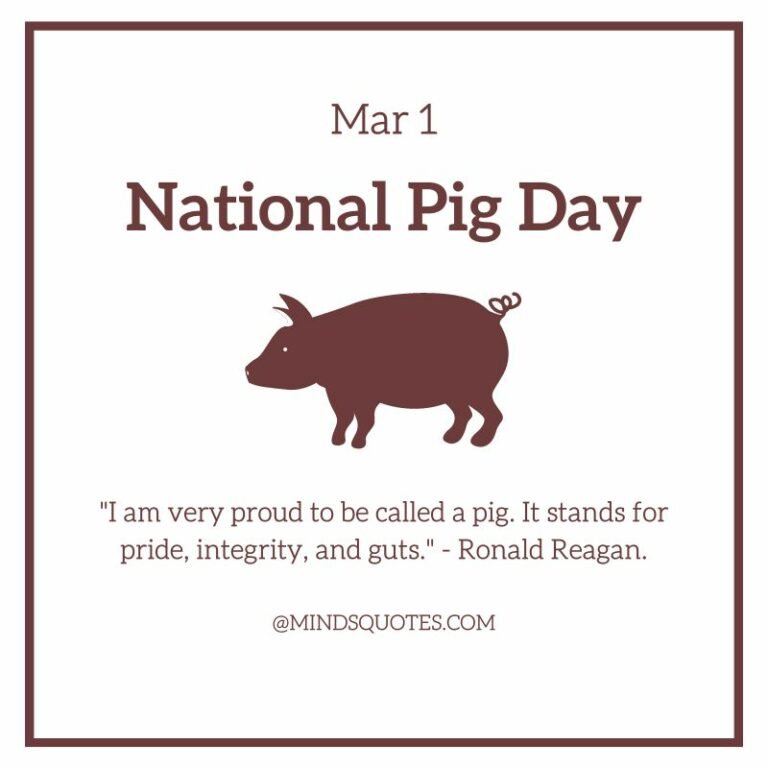 50 Popular National Pig Day Quotes, Wishes & Messages