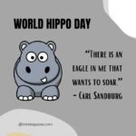 50 World Hippo Day Quotes, Messages & Wishes, Slogans