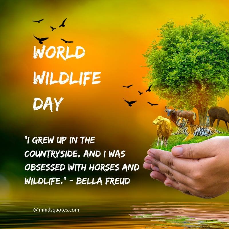 50 Famous World Wildlife Day Quotes Wishes Messages