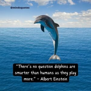 National Dolphin Day Quotes, Wishes & Messages (April 14)