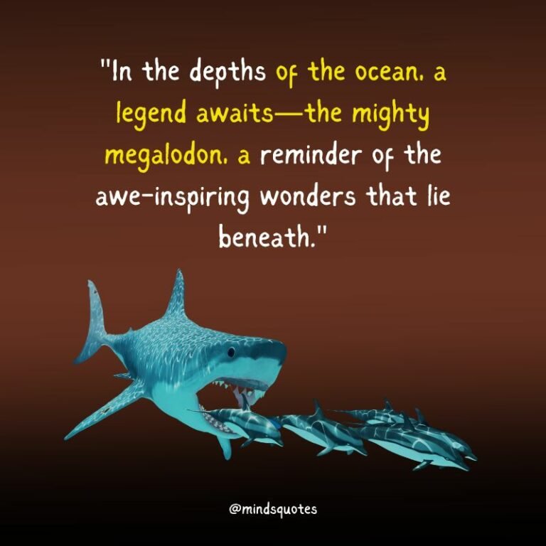 National Megalodon Day Quotes, Wishes & Messages (June 15th)