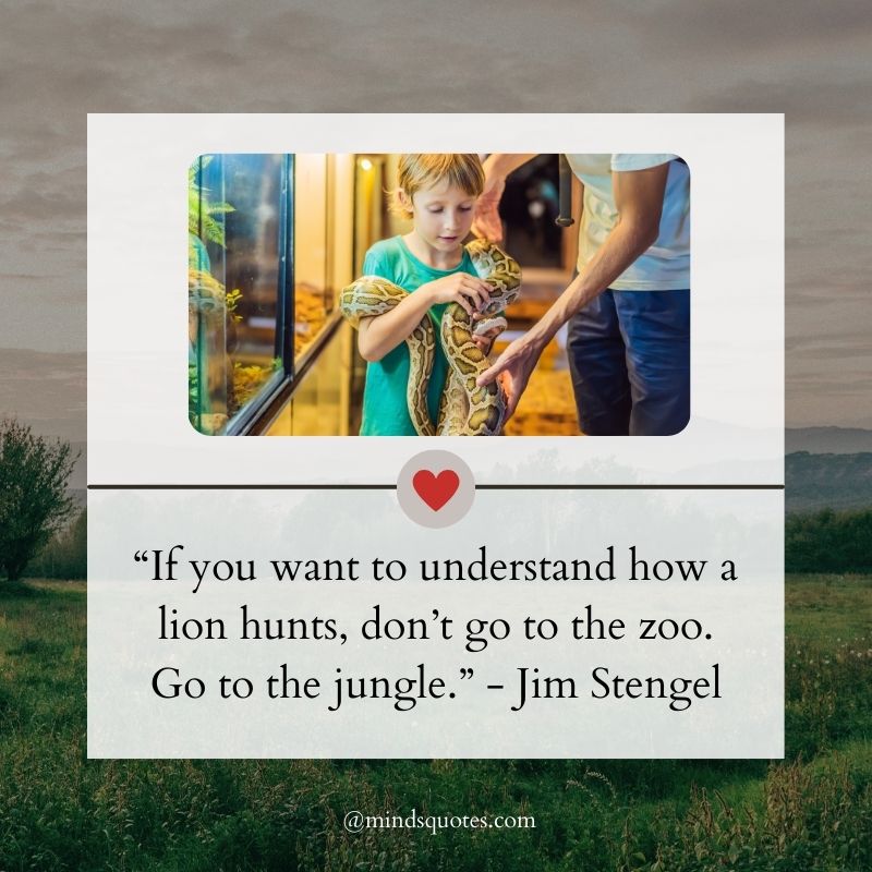 American Zoo Day Quotes, Wishes & Messages (July 1)