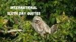 50 Best International Sloth Day Quotes, Wishes, Messages