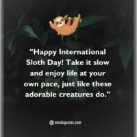 50 Best International Sloth Day Quotes, Wishes, Messages