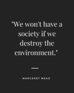 50 Inspiring Wildlife Quotes From The Animal Kingdom